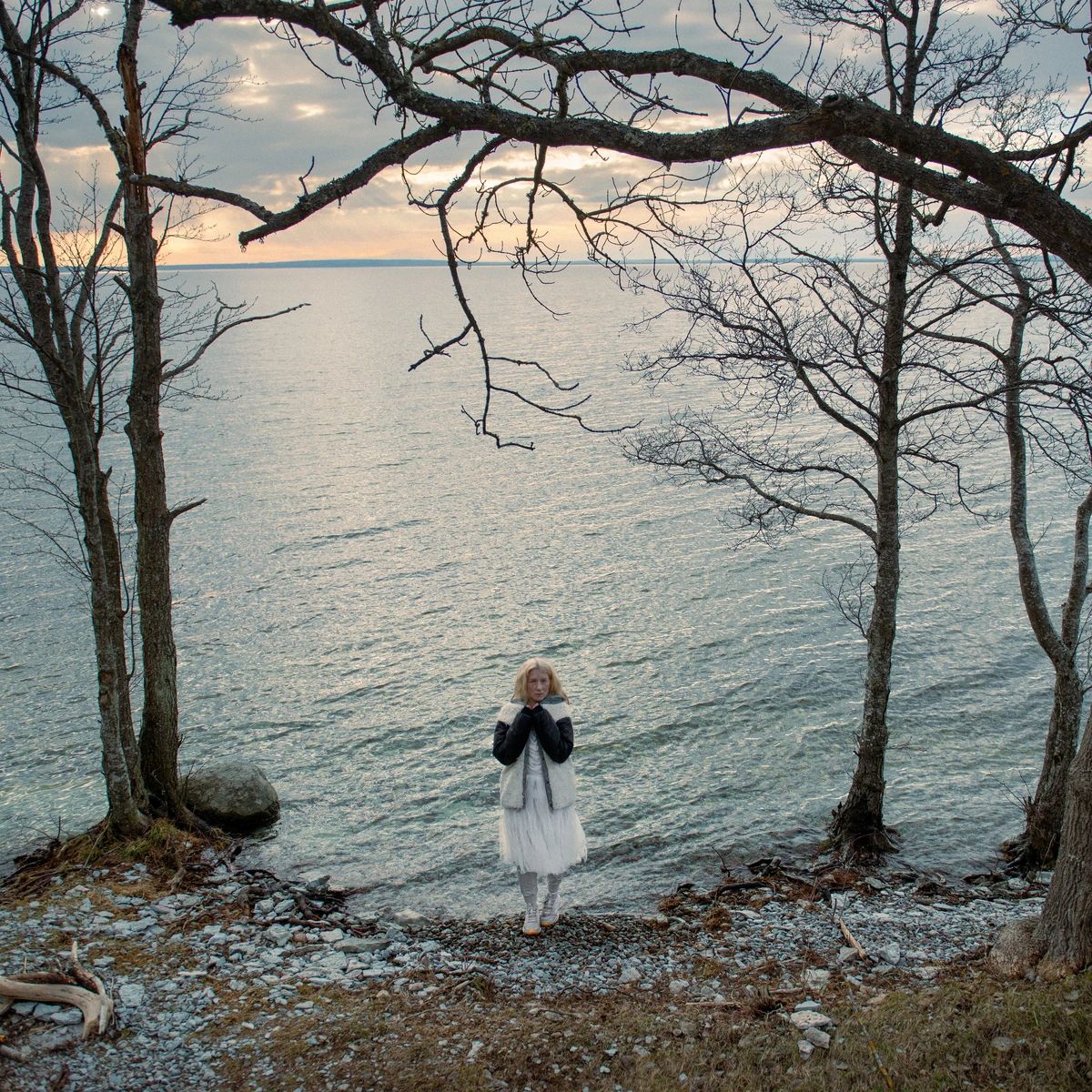 who | iamamiwhoami | Fandom
