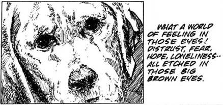 The Dog | I AM LEGEND Wiki | Fandom