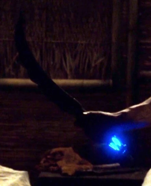 Loric Blade | I Am Number Four Wiki | Fandom