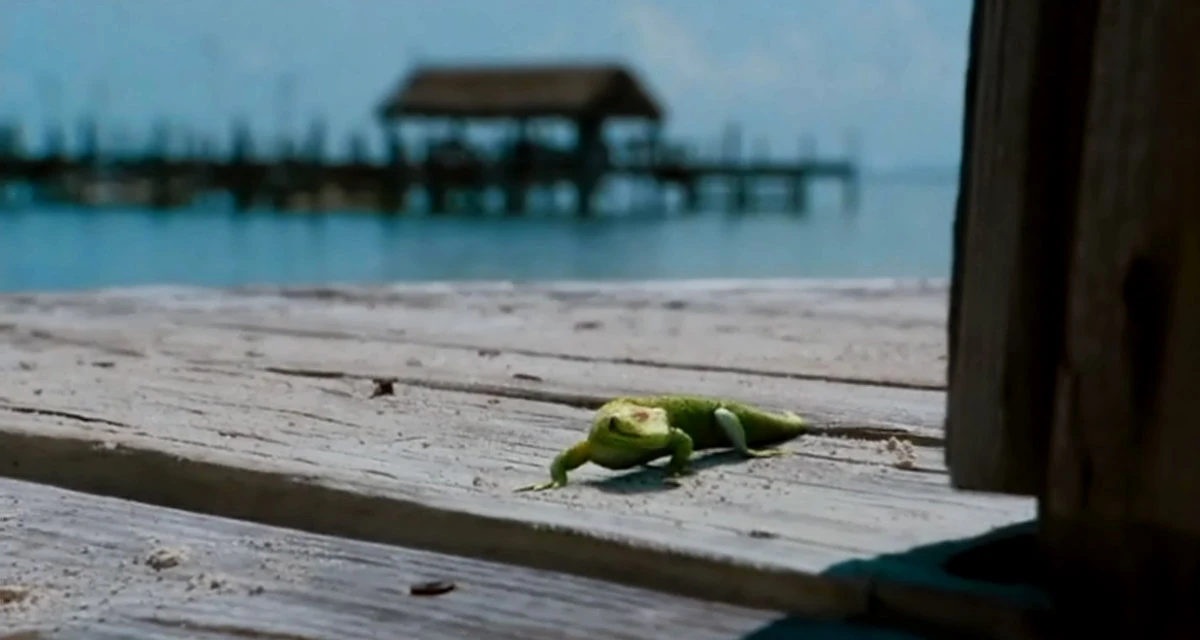 Chimæra | I Am Number Four Wiki | Fandom