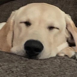 Sole | Ian's Big Brother ORG Wiki | Fandom