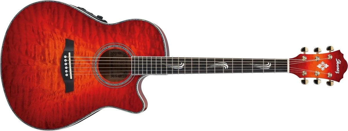 AEF100E | Ibanez Wiki | Fandom
