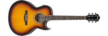 JSA20 | Ibanez Wiki | Fandom JSA20 | Ibanez Wiki | Fandom