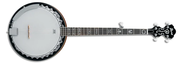 B100 | Ibanez Wiki | Fandom