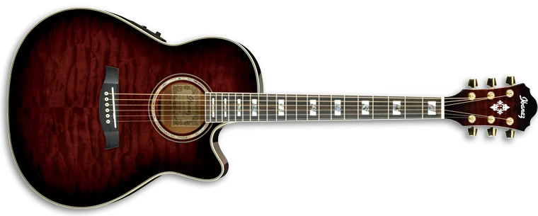 P:2011 AEF models | Ibanez Wiki | Fandom