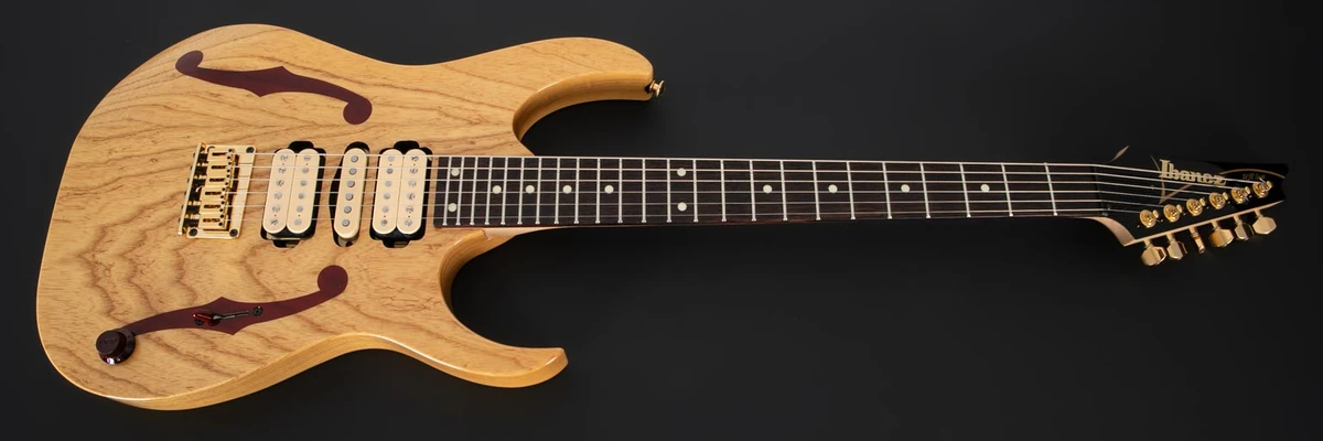 PGM800 | Ibanez Wiki | Fandom