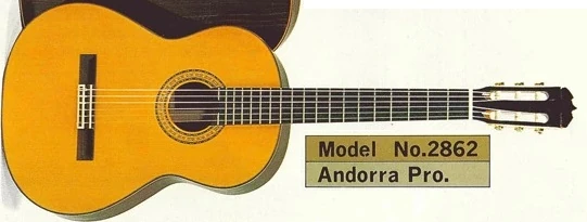 2862 | Ibanez Wiki | Fandom