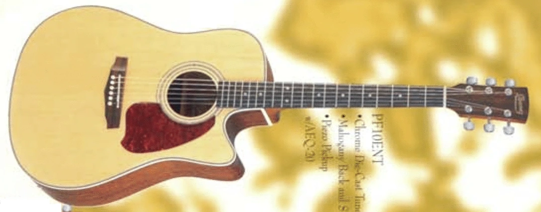 PF10E | Ibanez Wiki | Fandom