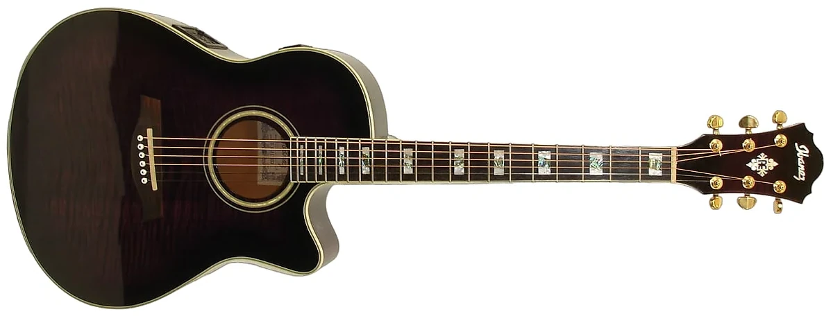 P:2004 AEF models | Ibanez Wiki | Fandom
