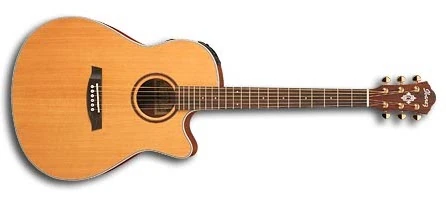 AEF28CS | Ibanez Wiki | Fandom