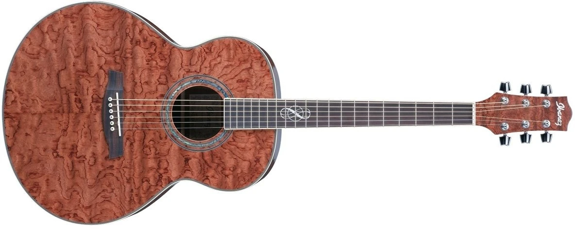 EW20BG | Ibanez Wiki | Fandom