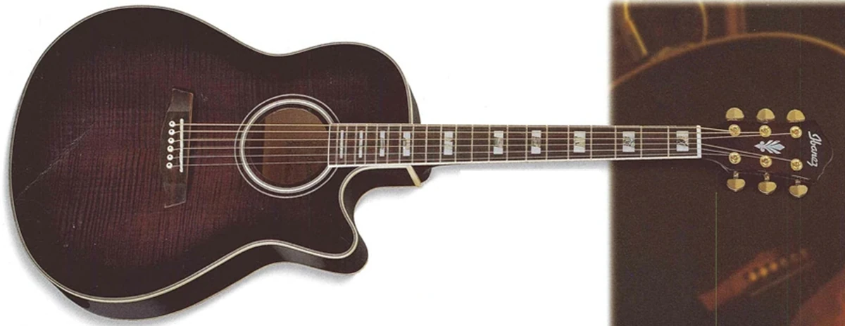 AE30 | Ibanez Wiki | Fandom