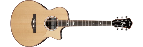 MRC10 | Ibanez Wiki | Fandom