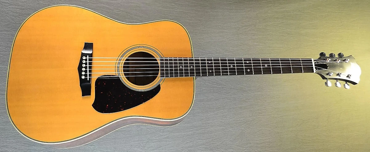 V320 | Ibanez Wiki | Fandom