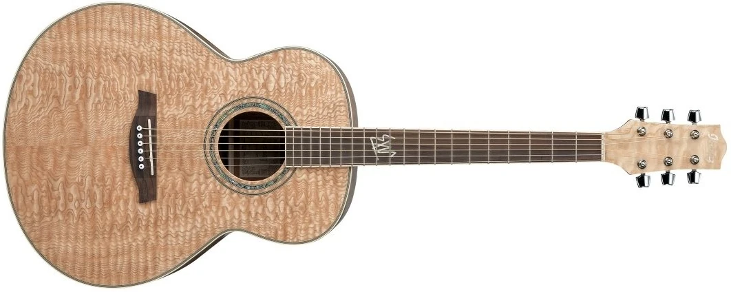 EW20AS | Ibanez Wiki | Fandom