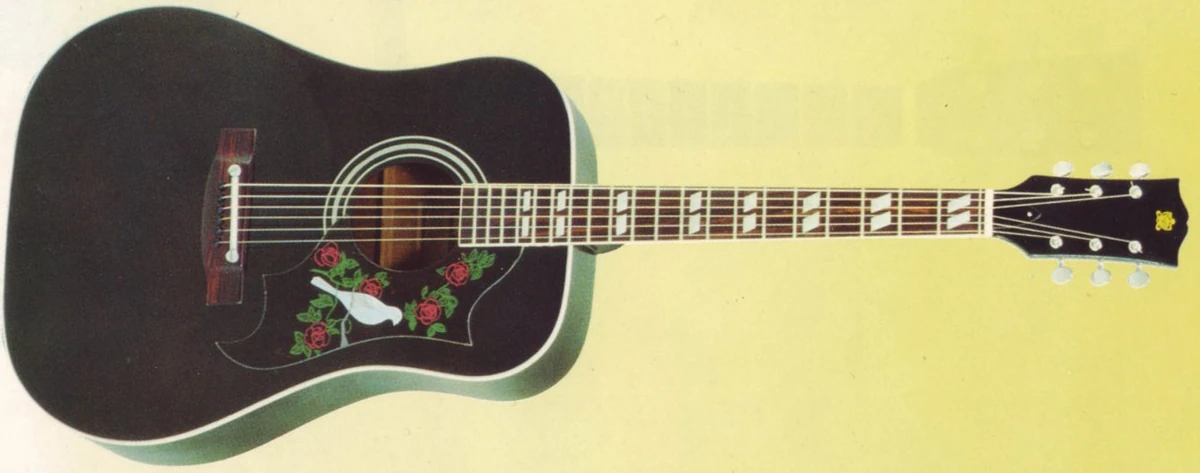 371bk Ibanez Wiki Fandom