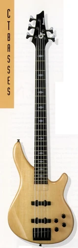 Ct Series Ibanez Wiki Fandom