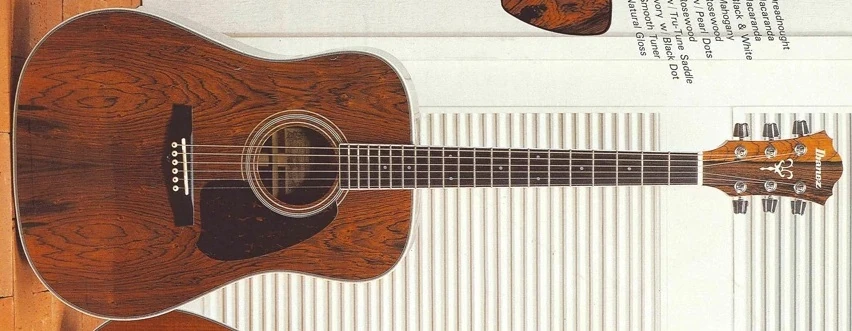 NW50 | Ibanez Wiki | Fandom