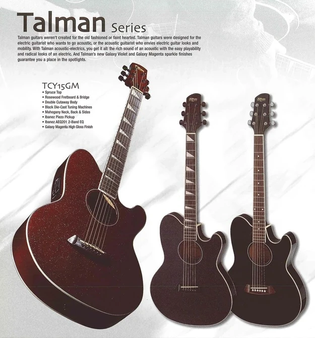 Talman acoustic series | Ibanez Wiki | Fandom