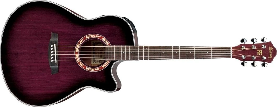 AEF18 | Ibanez Wiki | Fandom