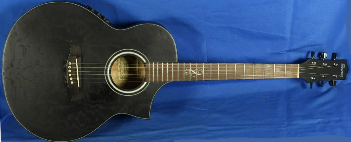 EW10ASE | Ibanez Wiki | Fandom