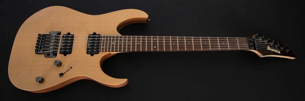 RG3120F | Ibanez Wiki | Fandom