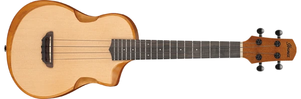AUT10 | Ibanez Wiki | Fandom