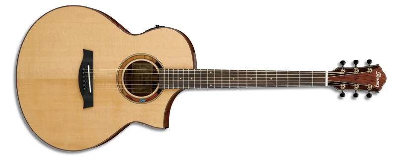 AEW120BG | Ibanez Wiki | Fandom