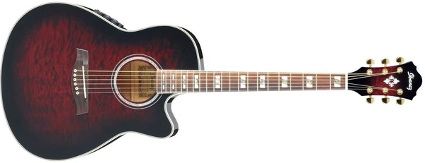 AEF37 | Ibanez Wiki | Fandom