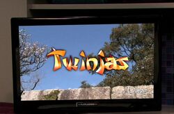Twinjas | iCarly Wiki | Fandom
