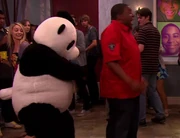 The Panda | iCarly Wiki | Fandom