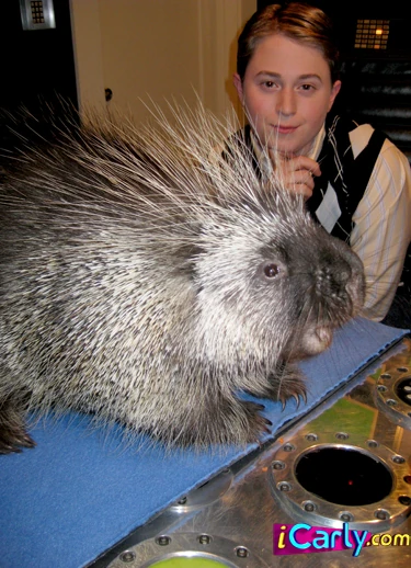 Mr. Tibbals | iCarly Wiki | Fandom