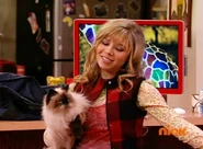 Harmoo the Cat | iCarly Wiki | Fandom