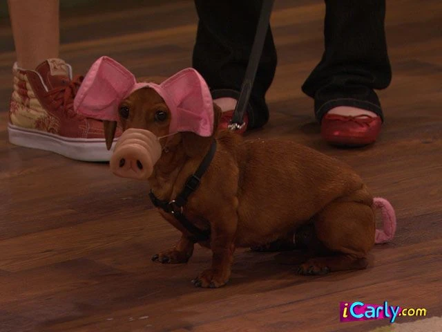 Spaghetti Taco Recipe | iCarly Wiki | Fandom