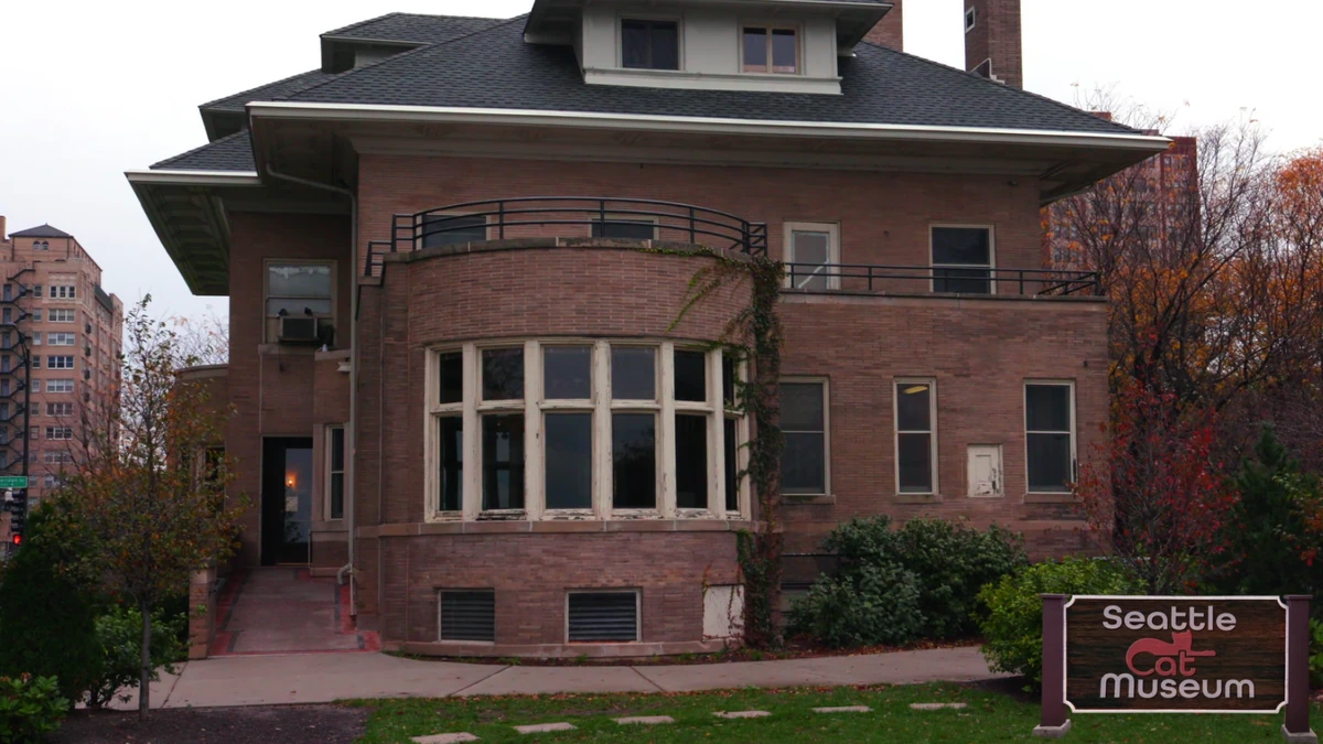 Seattle Cat Museum | iCarly Wiki | Fandom