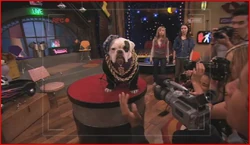 iMove Out | ICarly Wiki | Fandom