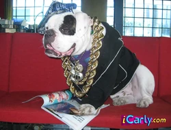 iMove Out | ICarly Wiki | Fandom