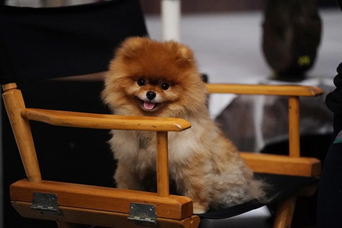 Kevin | iCarly Wiki | Fandom