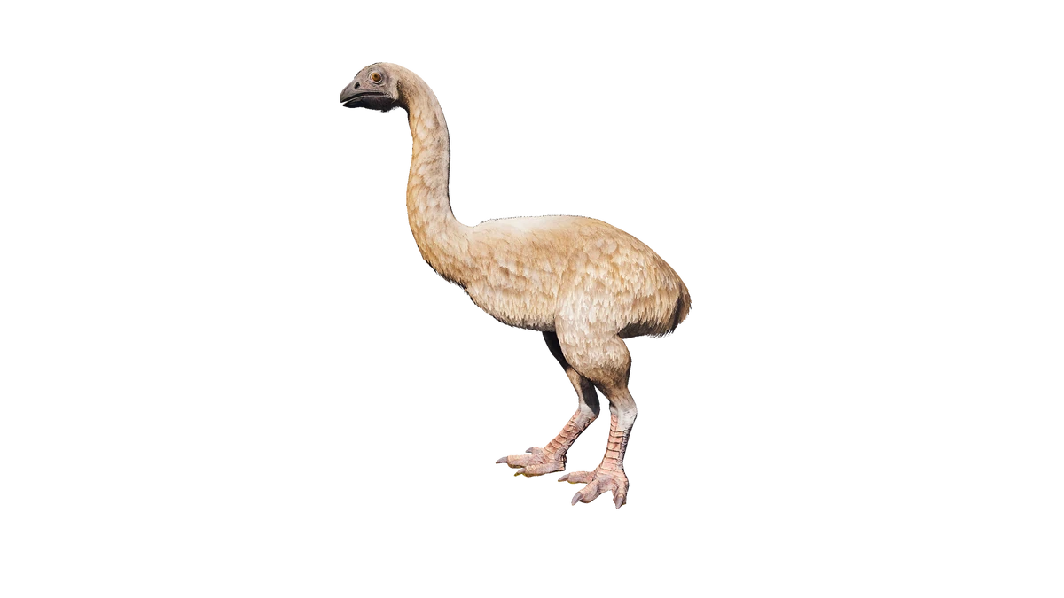 Moa | Icarus Wiki | Fandom