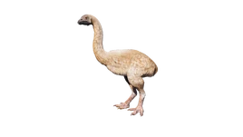 Moa | Icarus Wiki | Fandom