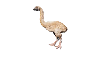 Moa | Icarus Wiki | Fandom