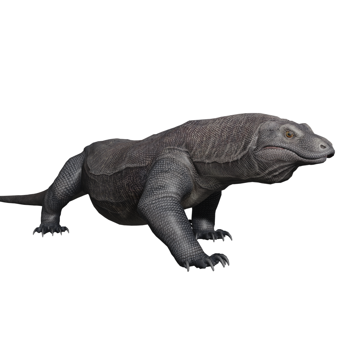 Komodo Icarus Wiki Fandom