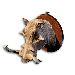 Wild Boar Trophy | Icarus Wiki | Fandom