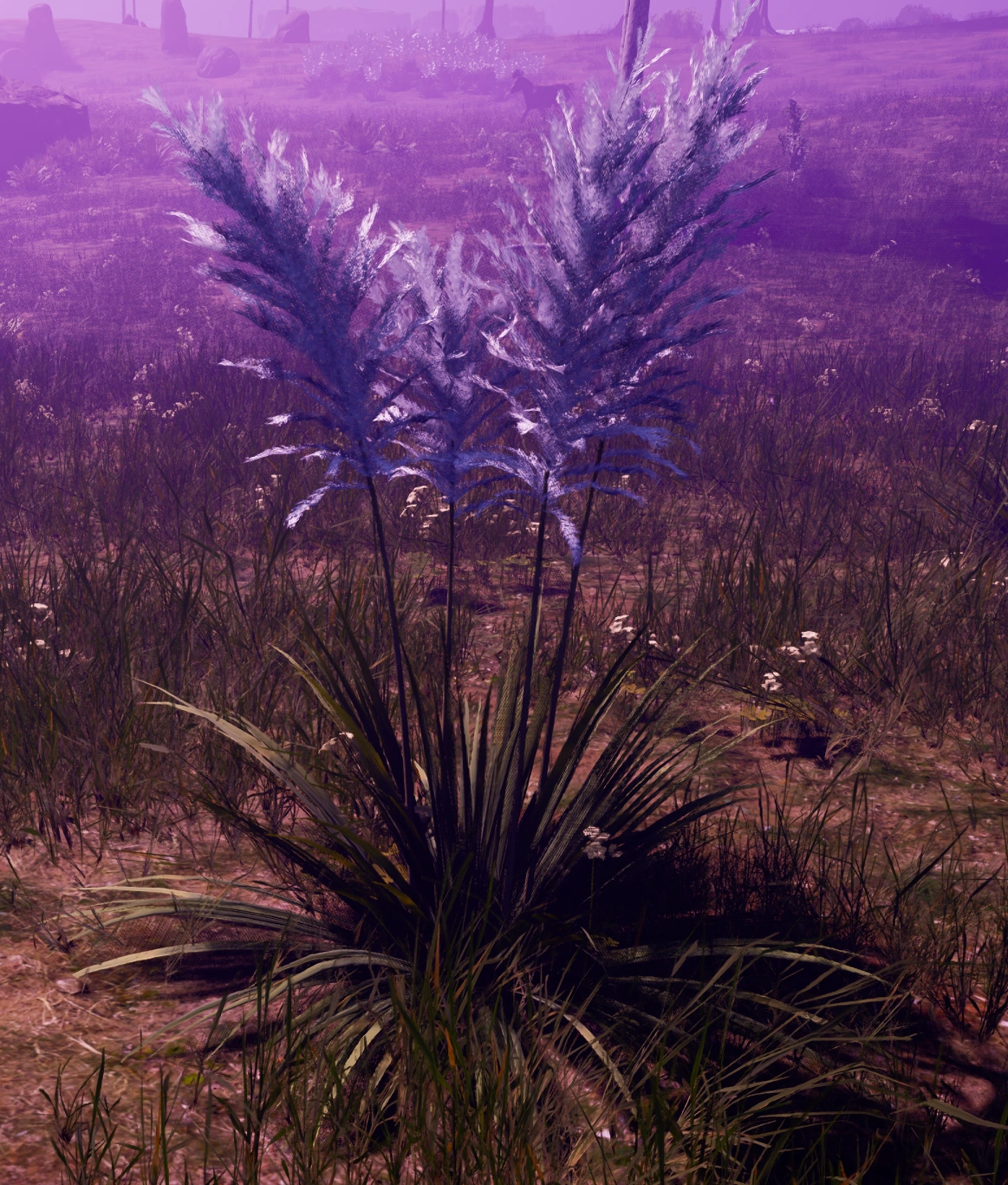 ToeToe | Icarus Wiki | Fandom