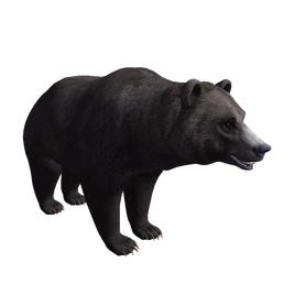 Grizzly Bear | Icarus Wiki | Fandom