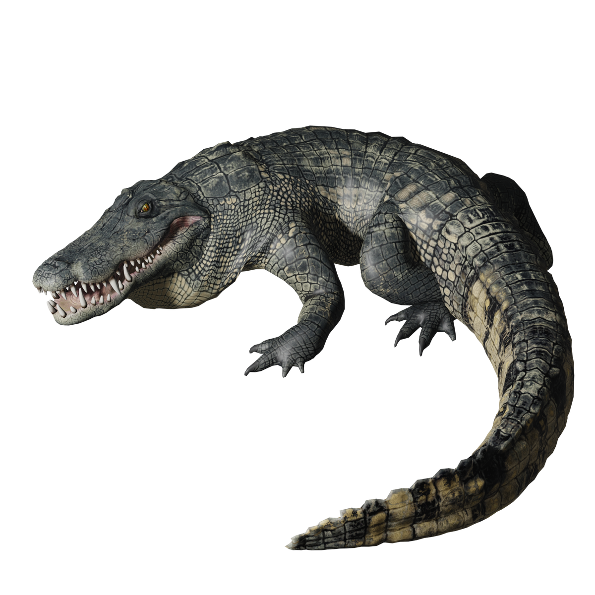 Crocodile Icarus Wiki Fandom
