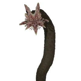Sandworm | Icarus Wiki | Fandom