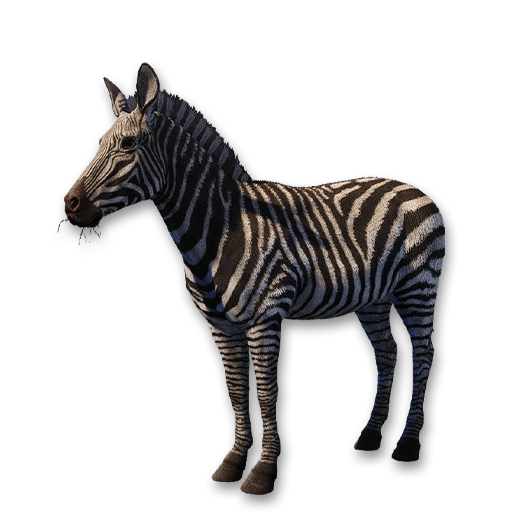 Zebra | Icarus Wiki | Fandom
