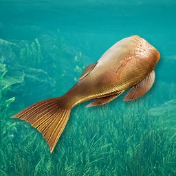 Freshwater Fish | Icarus Wiki | Fandom