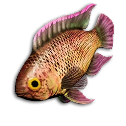 Coral Diano | Icarus Wiki | Fandom